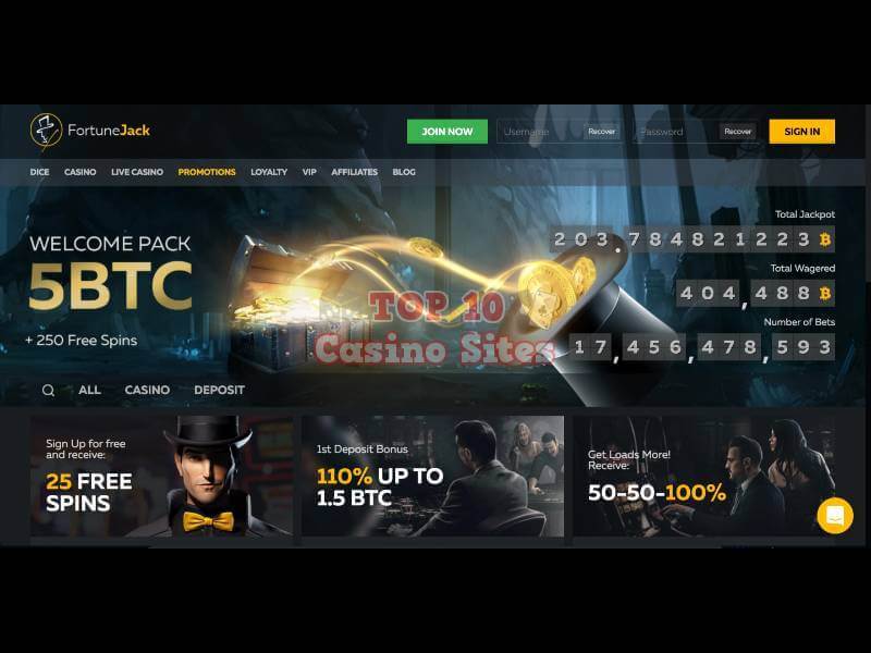 FortuneJack Casino Review 2022 - Bonuses, Games, & More!